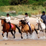 About Us - Haggerston Riding Center